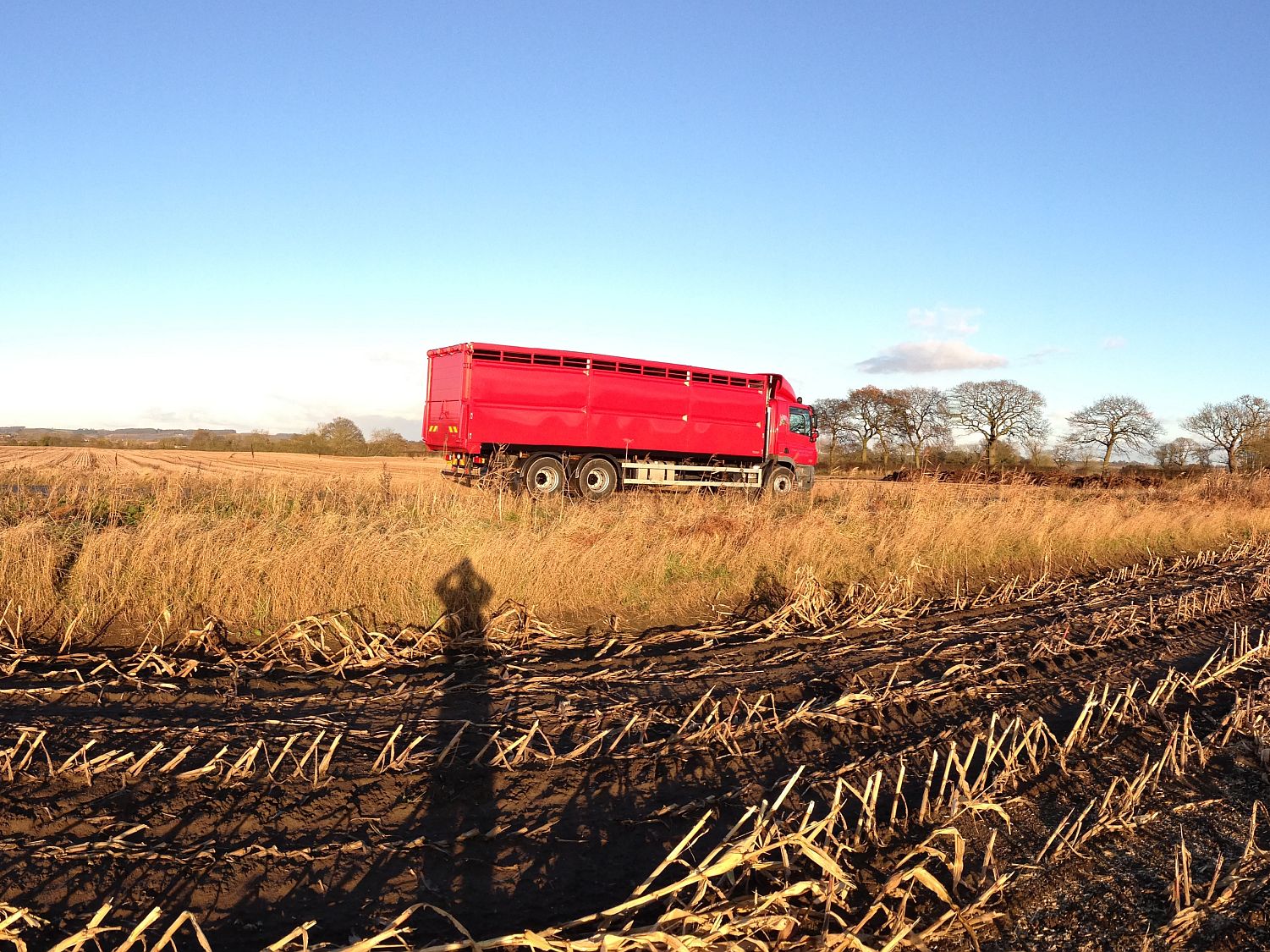 About Us - Plowman Brothers Livestock & Agricultural Engineering