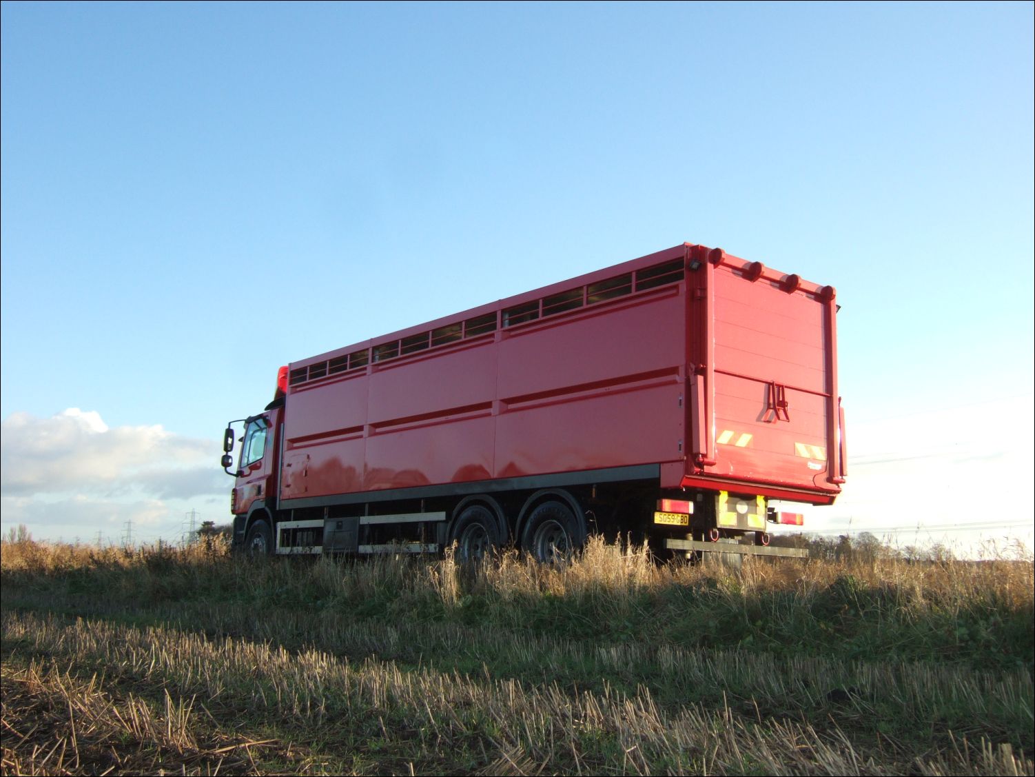 Single Deck Containers - Plowman Brothers