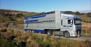 Plowman International - Plowman Brothers