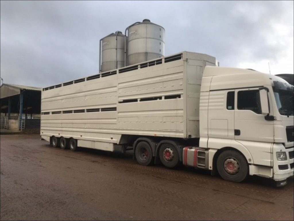 Customer Sales - Plowman Brothers