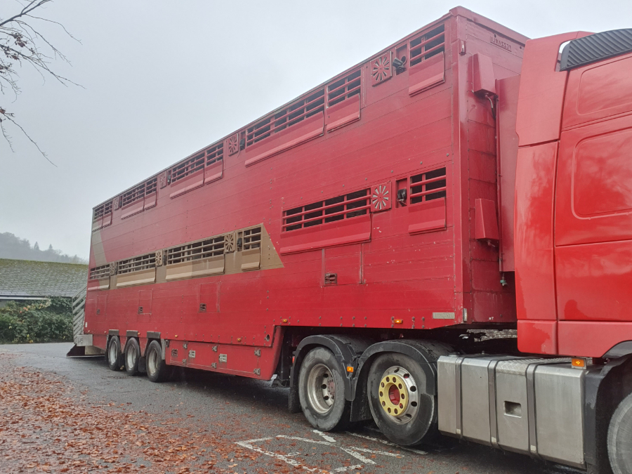 Customer Sales - Plowman Brothers